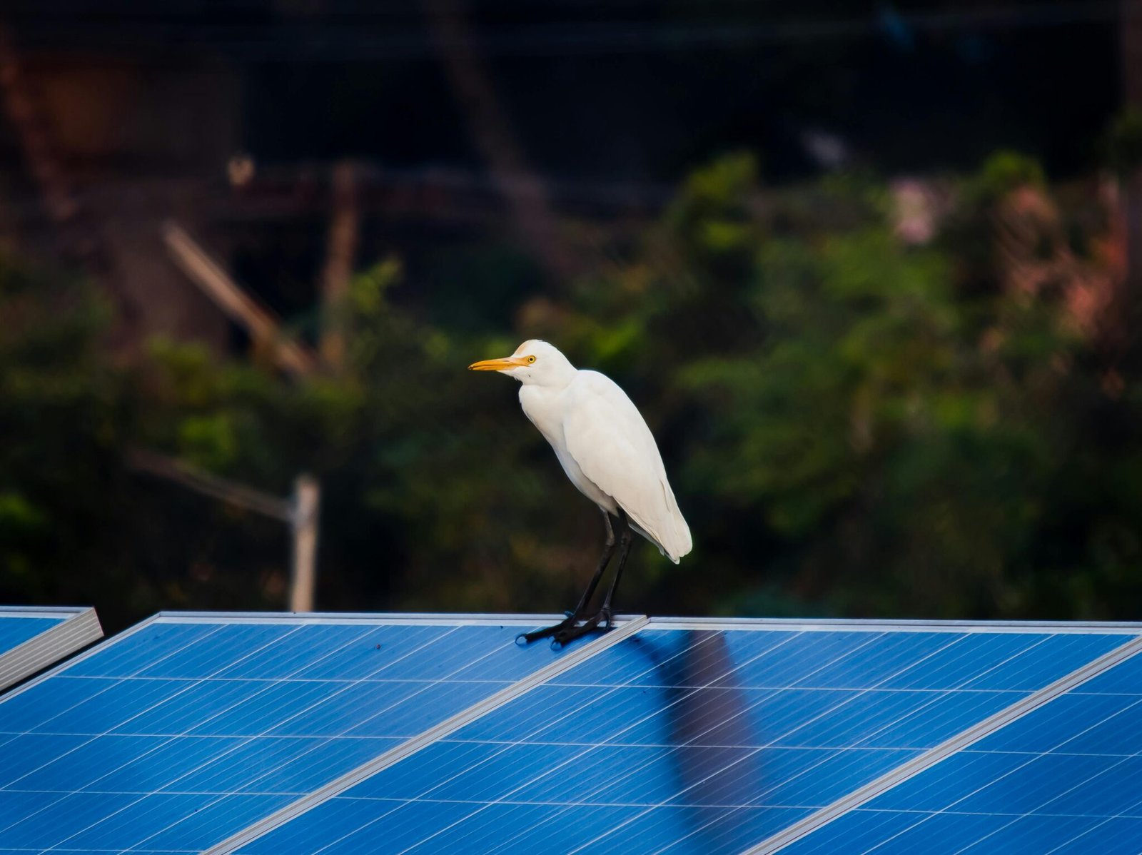 3 Ways Solar Energy Helps Fight Climate Change | Pinnacle Exteriors